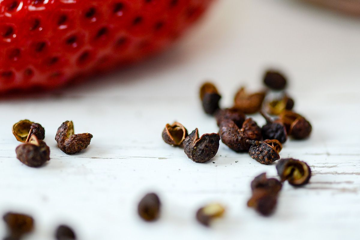 Le poivre du Timut : un fruit mystérieux - tout savoir sur les fruits ...