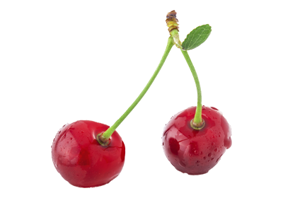 La griotte : une cerise pas comme les autres - tout savoir sur les ...